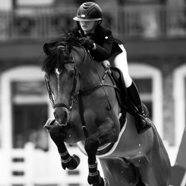 Telegram channel "👑𝐆𝐃𝐍 𝐓𝐞𝐚𝐦👑" — @gdnteam — TGStat