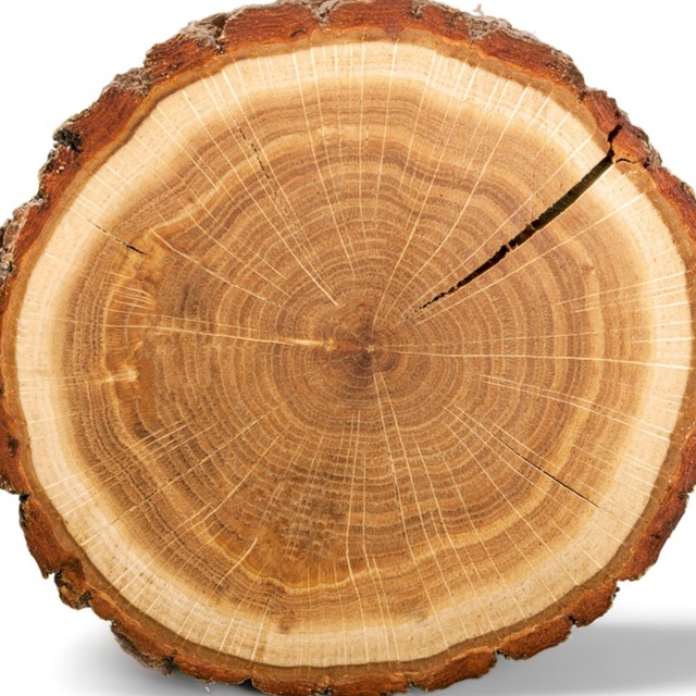 Telegram-канал "PRO ДЕРЕВО" — @pro_derevo — TGStat