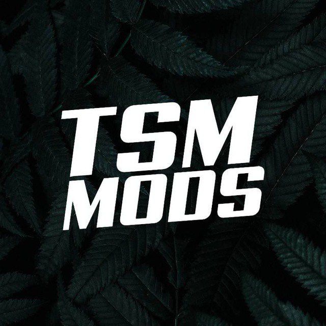 Telegram-канал "𝙏𝙎𝙈 𝙈𝙤𝙙𝙨 | 𝘽𝙚𝙖𝙢𝙉𝙂.𝙙𝙧𝙞𝙫𝙚" — @TSM_MODS — TGStat